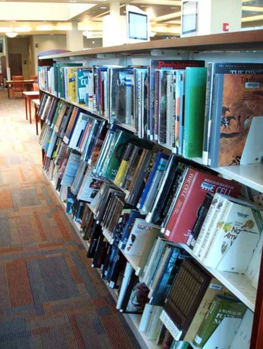 Arlington Branch Library reopens – RaincrossSquare.com